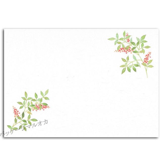 “ゆうパケット対象” 四季紙 花だより CT-H13 南天 12月〜1月 100枚 : パッケージ マルオカ - 通販 - Yahoo!ショッピング