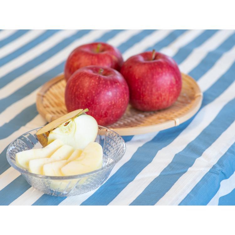 りんご 訳あり ジュース用 10kg : 岩手りんご - 通販 - Yahoo!ショッピング