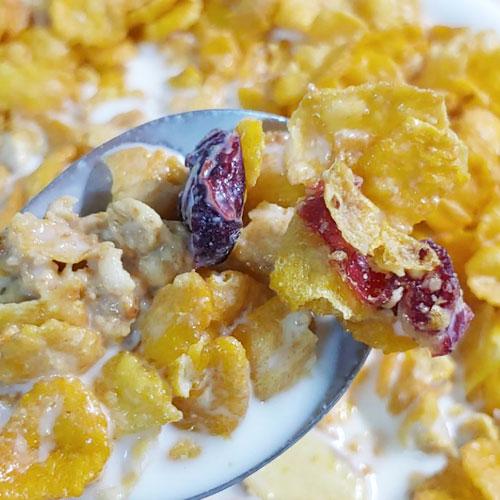 東西食品 ポスト グラノーラ クランベリーアーモンド 350g グレノーラ シリアル ヘルシーな健康食品 韓国産穀物 韓国食品 : 八道韓国食品 - 通販 - Yahoo!ショッピング