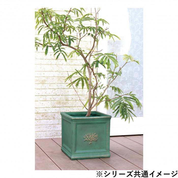 MURATAYA スクエアポットフォレスト6号 White 3744 |b03 : panfam - 通販 - Yahoo!ショッピング