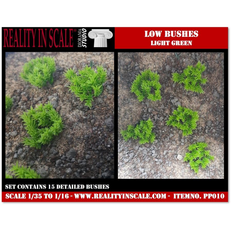 リアリティインスケール PP010 1/35 低い茂み 薄緑 - プラスチック製植物 : ホビーショップ パンツァーレーア - 通販 - Yahoo!ショッピング