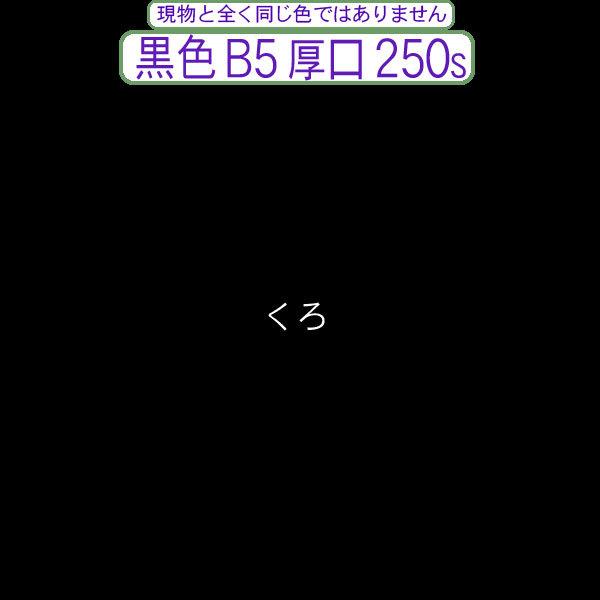 色上質(中量)黒色B5判横目＜厚口＞(250枚) : p132-b5y-m250 : ペーパープラザ - 通販 - Yahoo!ショッピング