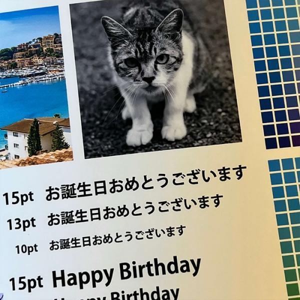 耐水紙 ユポタック シール 印刷 A3ノビ(329×483mm)サイズ：100枚 耐水ラベル 屋外 ステッカー 破れにくい紙 合成紙 印刷紙 印刷用紙 : 松本洋紙店 - 通販 - Yahoo ...