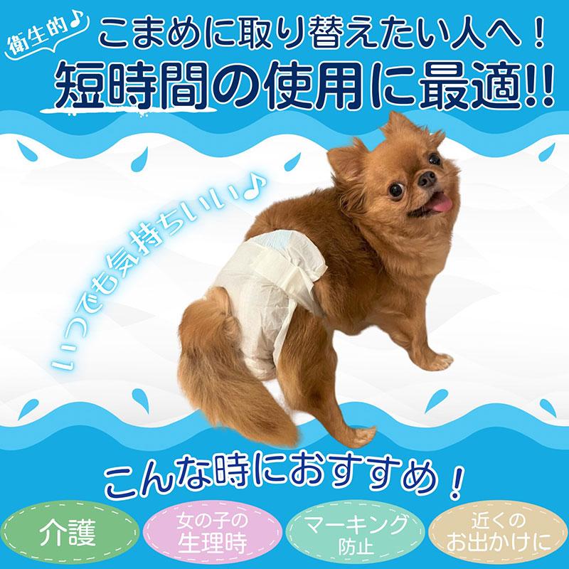 PetPro 犬猫用マナーパンツ 4288 ペットプロジャパン ペット用紙おむつ SS お試し用 2枚×30セット(60枚) : ルークランオンライン - 通販 - Yahoo!ショッピング
