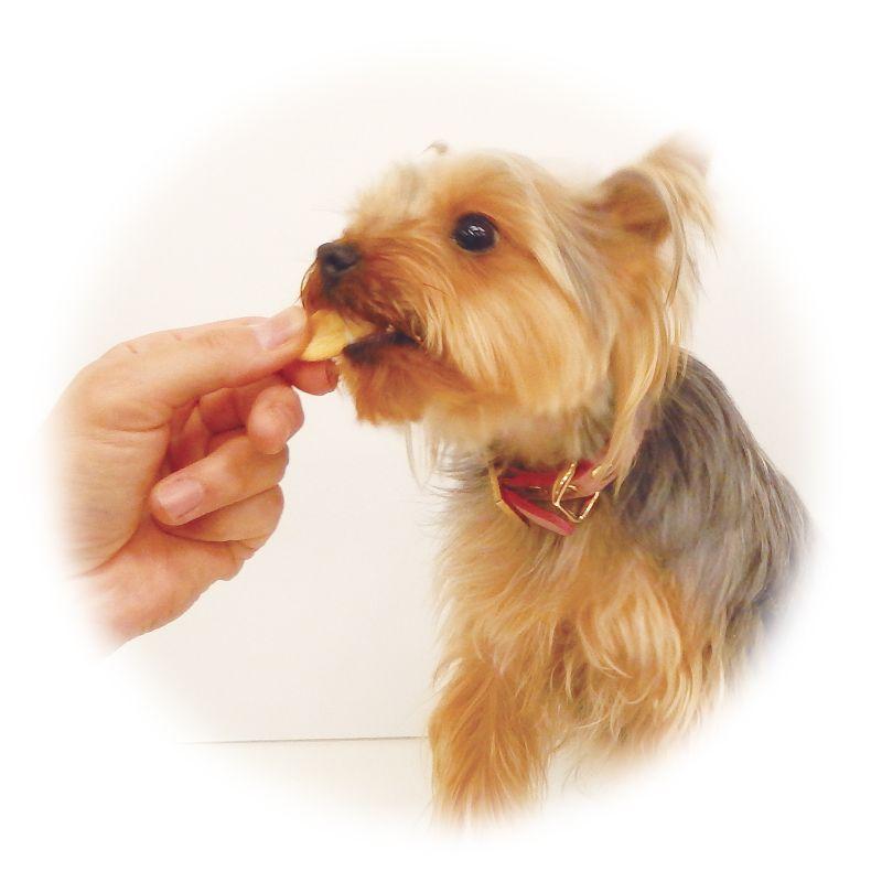 犬スナック 1120 トーラス メロディ・スナック 五穀わんべい 64g×12セット(768g) :dogsna-135:ルークランオンライン - 通販 - Yahoo!ショッピング