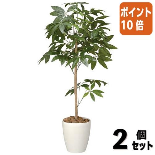2点セット☆ポイント10倍 アートクリエイション 人工植物 パキラトピアリー 高さ1200mm 光触媒 A4507-150 : 文具屋さん - 通販 - Yahoo!ショッピング