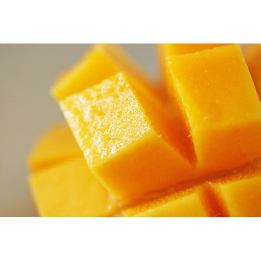 《糖度保証》沖縄の高級マンゴー 贈り物なら『マンゴー至高』最良品 2kg｜宮古島産の贈答用マンゴー｜取り寄せ 国産 果物 減農薬栽培【2024年夏発送】 :shikou-2:琉球マルシェ ...