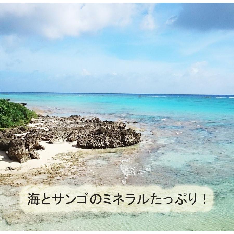 有機JAS・雲南百薬 おかわかめ 3kg :un3kg:琉球マルシェ - 通販 - Yahoo!ショッピング