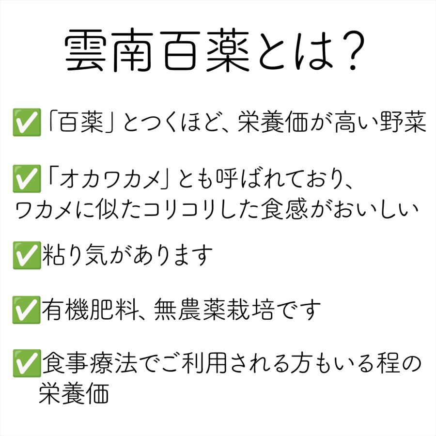 有機JAS・雲南百薬 おかわかめ 3kg : 琉球マルシェ - 通販 - Yahoo!ショッピング