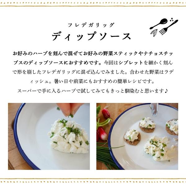 送料無料 【受発注商品】 シェーブルチーズ フレデガリッグ 【72g×6個 総重量432g】 山羊チーズ パリ 直送 : Parisの台所 - 通販 - Yahoo!ショッピング