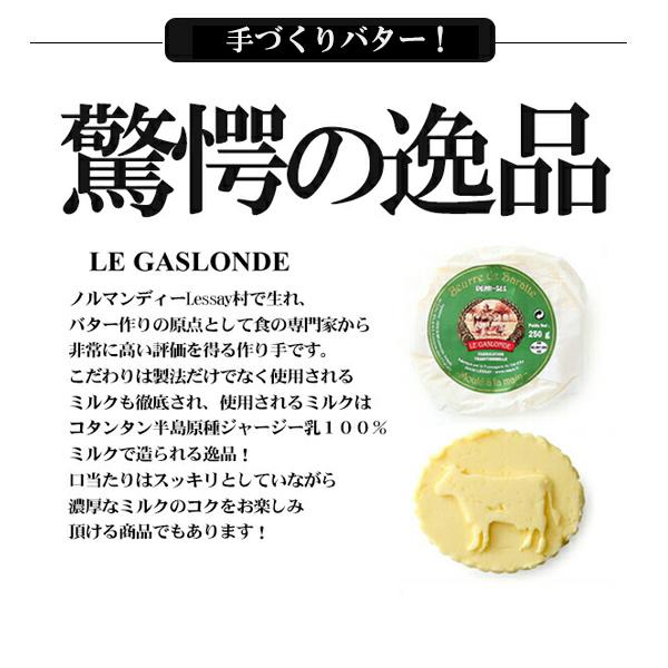 ガロンド 無塩 250g バター 発酵バター フランス産 高級バター : tbl-re01 : Parisの台所 - 通販 - Yahoo!ショッピング