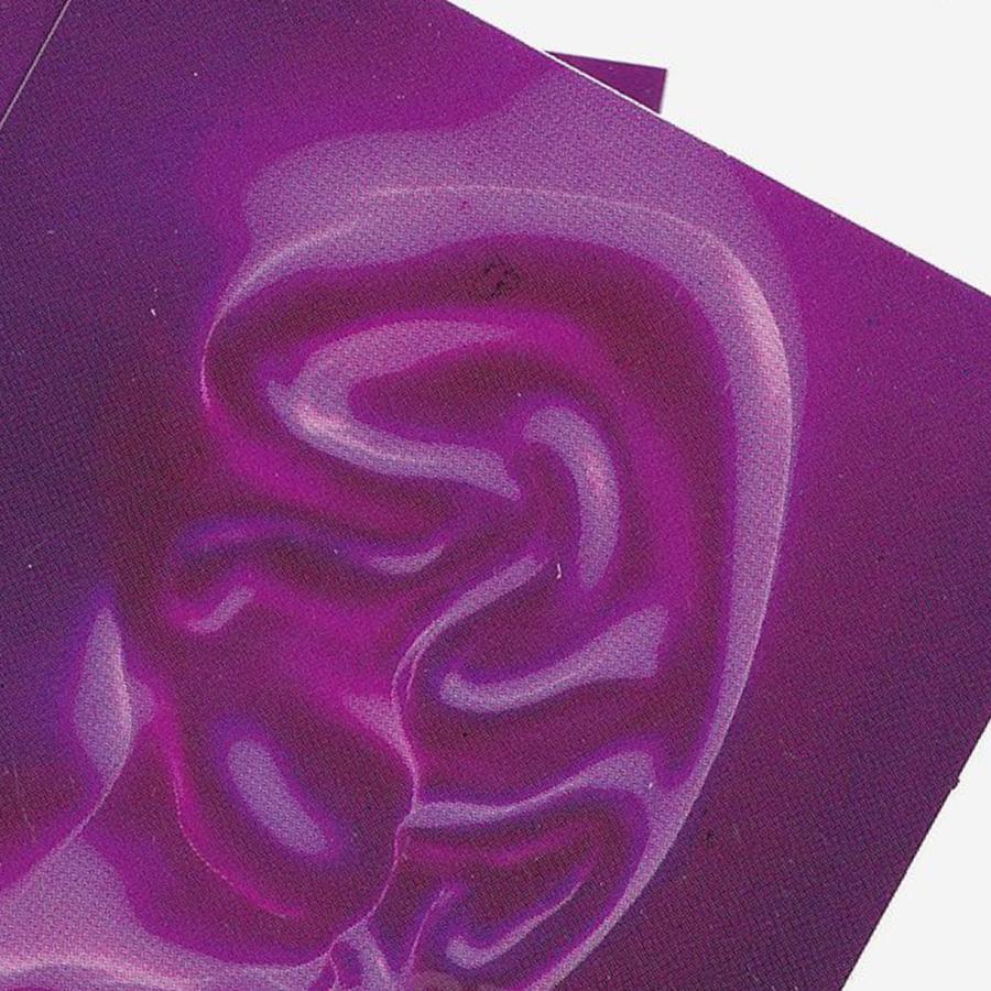 Supreme シュプリーム Ear Sticker イアー ステッカー 21SS : ParkSIDER Yahoo!店 - 通販 ...