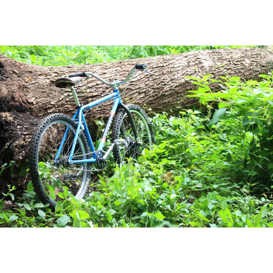 HOW I ROLL x Funny's BCS ハウアイロール G-Flex Bar CP ジーフレックス バー ライザーバー 自転車 ...