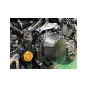 【6月27日出荷】BEET Z900RS スイングアームピポットプラグ ゴールド 0426-KE3-10 : パーツボックス5号店 - 通販 - Yahoo!ショッピング