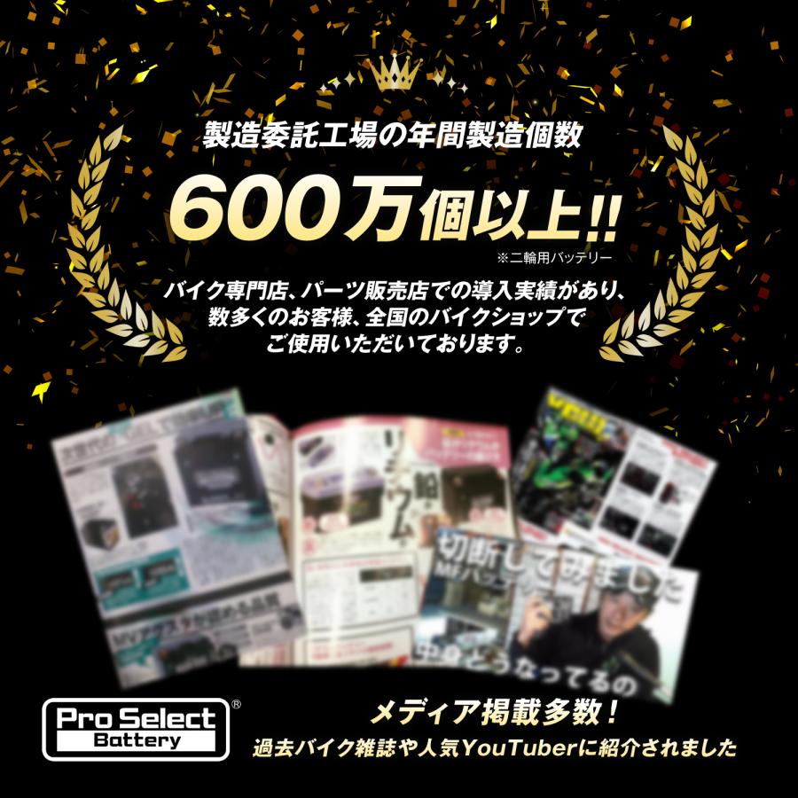 ProSelect(プロセレクト) バイク GL-PS4B-BS ナノ・ジェルバッテリー(YT4B-BS、GT4B-5 互換)(ジェルタイプ 液入充電済) PSB103 : パーツダイレクト2 ...