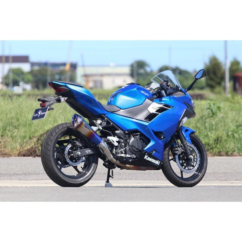 アールズギア Kawasaki Ninja250 ニンジャ250 用 ワイバンリアルスペック タイプR スリップオン チタンドラッグブルー RK33-03RD : Parts Online ...