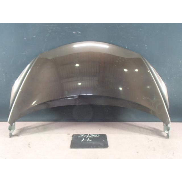 ノート E12 ボンネットフード CAS F510M-3VAMA : 大晃商事SHOP2 - 通販 - Yahoo!ショッピング