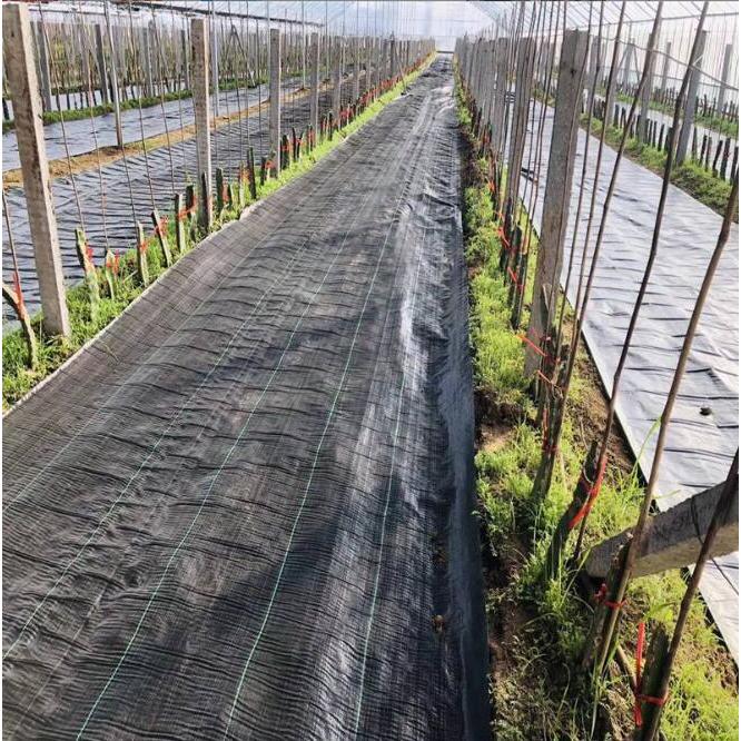 防草シート 3m×100m 農用シート 高透水 草よけシート 農業 園芸用 通水性 雑草シート 雑草防止 高密度 高耐久性 除草シート 厚さ約0.5mm 雑草対策 防草 シート ...