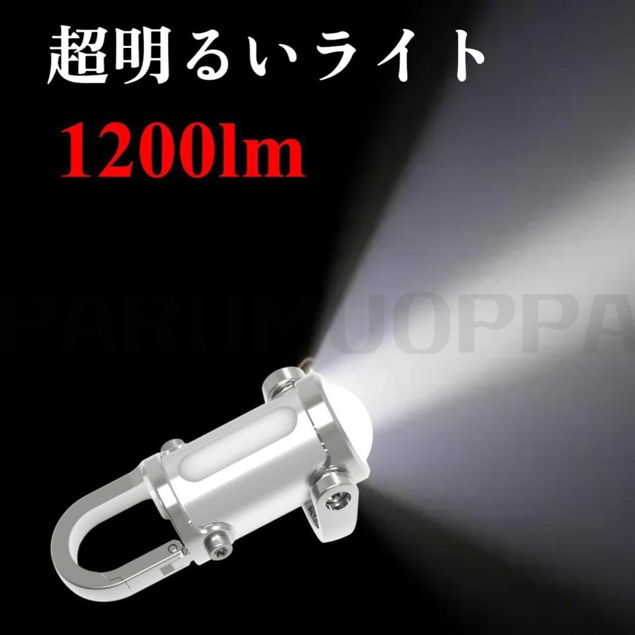 【2025年新作！】ハンディライト LEDキーチェーンライト キーホルダー型ライト ミニLED懐中電灯 USB充電式 キーホルダー一体型 ポケットサイズ 強力 防水 : parumuoppa ...