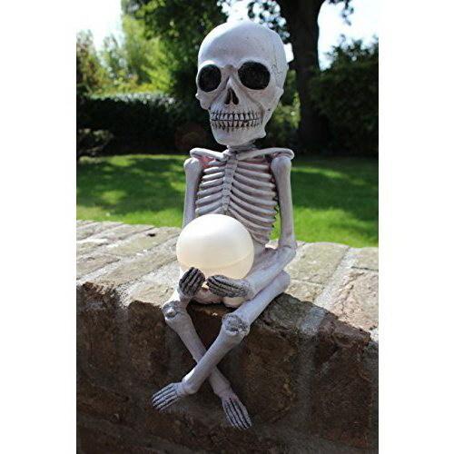 スケルトン玉ライト スカル RH-619【突然の欠品終了あり】 : へるしー99BOX - 通販 - Yahoo!ショッピング