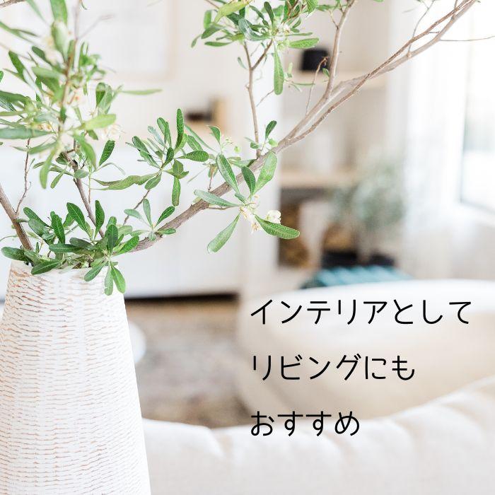 アクアマリン 切株台座付 103g 1点物 現物 原石 天然石 パワーストーン インテリア ブラジル産 コレクション : 天然石・パワーストーンのお店 Pasmii - 通販 - Yahoo ...