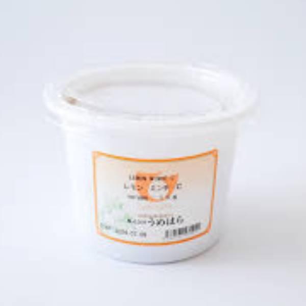 【LINE登録で10%OFFクーポン】レモンミンチC 1000g 1袋入 うめはら ドライフルーツ お菓子作り フルーツ加工品 TIP026-1 : ペーストリートYahoo!店 - 通販 ...