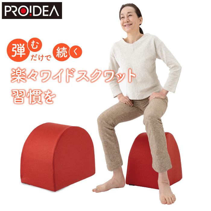 PROIDEA ドリーム プロイデア エクササイズクッション ワイドスクワットホッパー D-0070-4139-02 ベイクドレッド : PCあきんどデジタル館 - 通販 - Yahoo!ショッピング