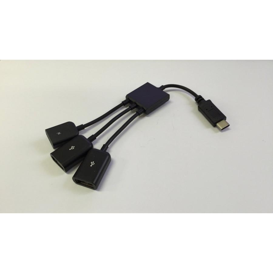 送料無料 Type-C OTGケーブル OTG Hub アダプター （2ポート）USB2.0-Type-C : pcastore - 通販 ...