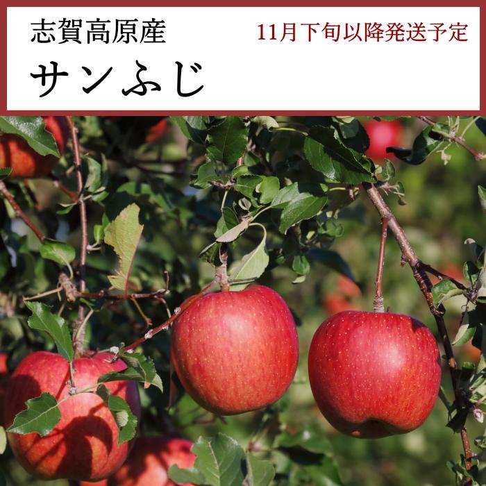【11/22までポイント5倍】送料無料 長野県志賀高原産 サンふじりんご 特秀 5kg 14〜16玉 [直送10]【11月下旬以降順次発送】【配送指定 : 259981000061700 ...