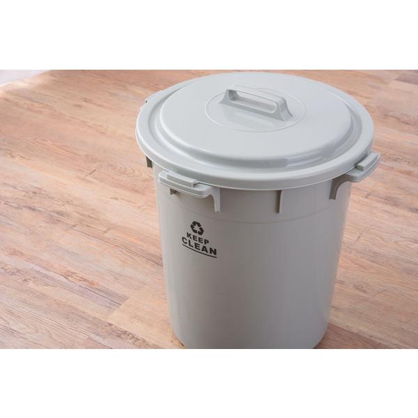 東谷 ゴミ箱 45L LFS-765BR LFS-765GR LFS-765WH ラウンドペール 丸型 フタ付き ロック機能付き 丸洗い おしゃれ 分別 : Peeece - 通販 ...