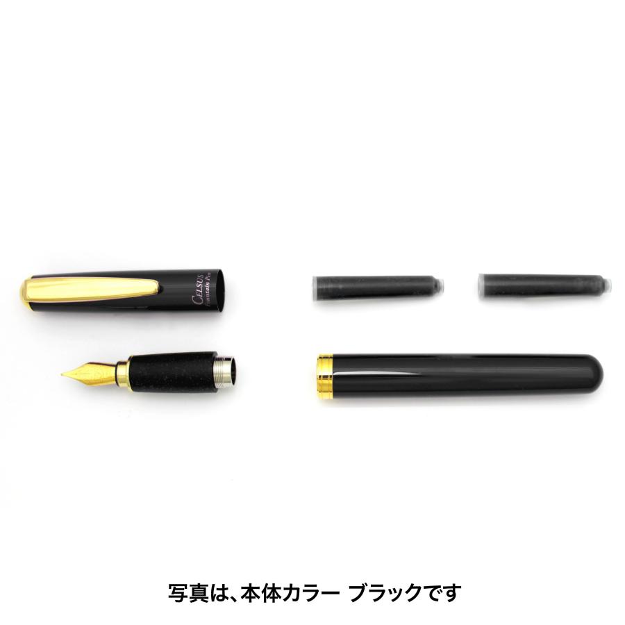 OHTO 万年筆 セルサス【ブラウン】中細字 CELSUS FF-20C-BN＜オート＞ : ペンネッコYahoo!店 - 通販 - Yahoo!ショッピング