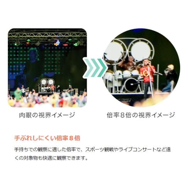 コンパクト双眼鏡 ブラック 0787 レイメイ スポーツ観戦 ライブコンサート アウトドア RXB317B :RXB317B:PENPORT - 通販 - Yahoo!ショッピング