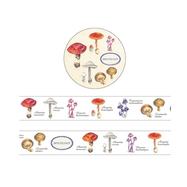 STUDY HOLIC マスキングテープ 菌類学 15mm 8646 グリーンフラッシュ デコレーション 手帳 ノート ラッピング ST-191 : PENPORT - 通販 - Yahoo ...