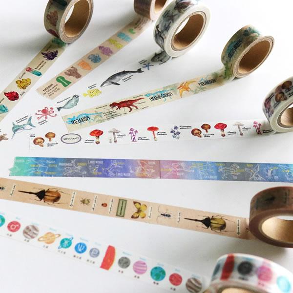 STUDY HOLIC マスキングテープ 菌類学 15mm 8646 グリーンフラッシュ デコレーション 手帳 ノート ラッピング ST-191 : PENPORT - 通販 - Yahoo ...