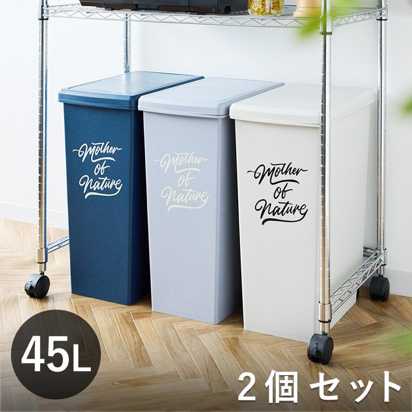 ゴミ箱 45L スライドペール 2個セット ふた付き ごみ箱 45リットル スリム スライド蓋 キッチン 分別 dst-kup0007st2 : ルミナス エレクター 専門店Floors ...