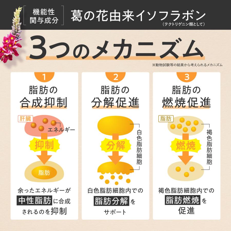 ダイエット ファットダウンサポートスムージー 体重やお腹の脂肪を減らす 置き換え シェイク 新日本ヘルス : 完全食TOKYO Yahoo!店 - 通販 - Yahoo!ショッピング