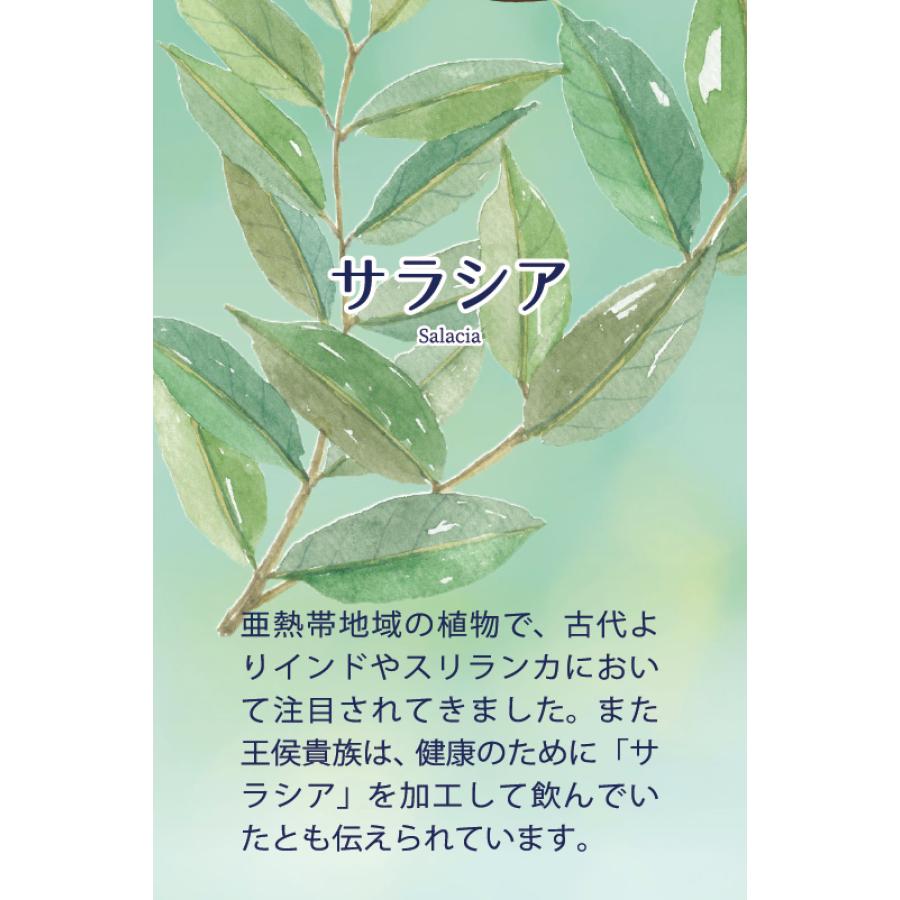 菊芋＆水溶性キトサン＆サラシア 健康習慣サポート 内容量 54g 300mg×180粒入 1日6粒 イヌリン 健康補助食品 デキストリン インシュリン サプリ : ペルルアルファショップ ...