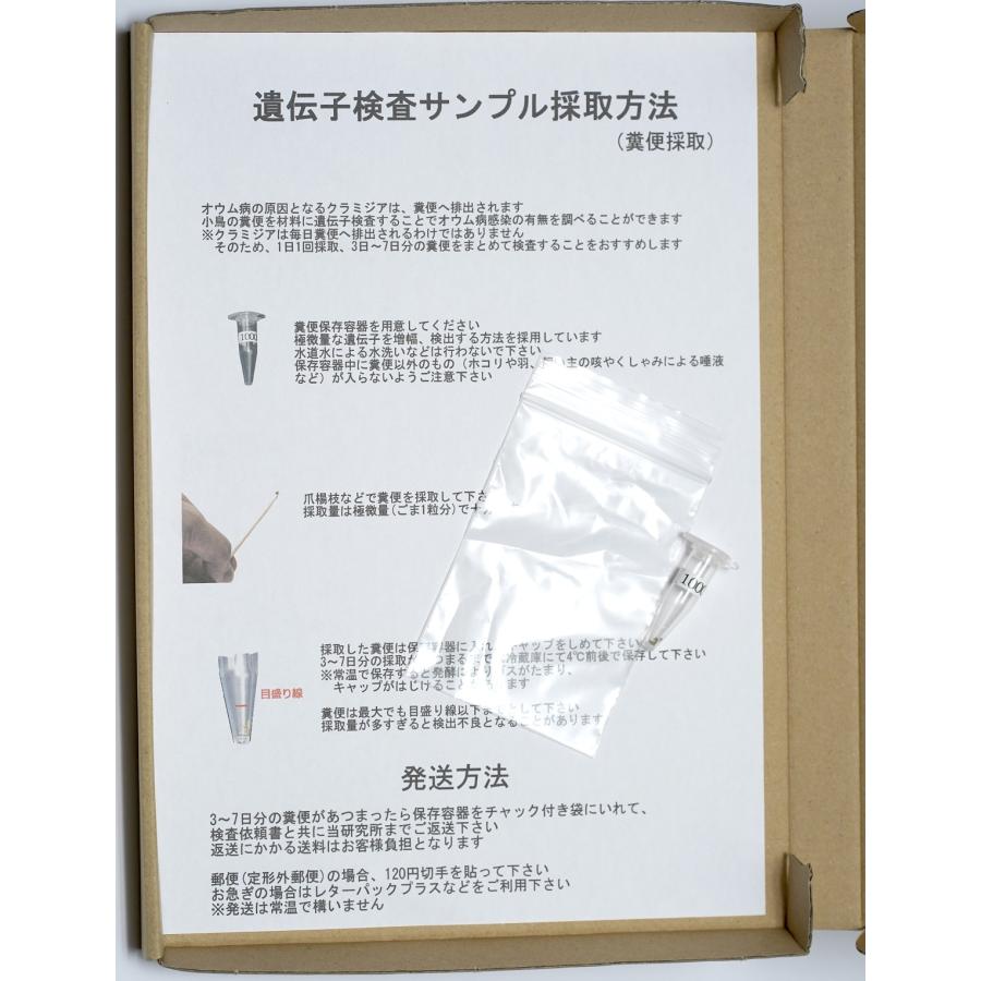 【ペット用遺伝子検査】犬猫の遺伝子検査キット マダニ感染症 重症熱性血小板減少症候群（SFTS） : ペット遺伝子研究所 - 通販 - Yahoo!ショッピング