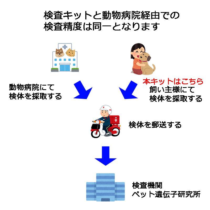 【ペット用遺伝子検査】犬猫の遺伝子検査キット マダニ感染症 重症熱性血小板減少症候群（SFTS） : ペット遺伝子研究所 - 通販 - Yahoo!ショッピング
