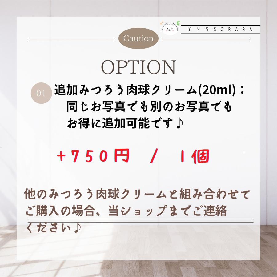 獣医師推奨 20ml うちの子専用みつろう肉球クリーム、オーガニックホホバオイル使用 写真入り プレゼントに 国産 手作り 完全無添加 : ペット雑貨専門店そららSORARA - 通販 ...