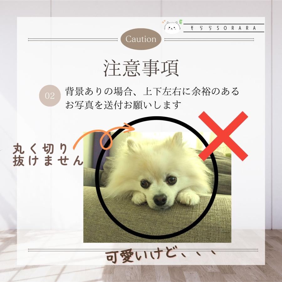 獣医師推奨 20ml うちの子専用みつろう肉球クリーム、オーガニックホホバオイル使用 写真入り プレゼントに 国産 手作り 完全無添加 : ペット雑貨専門店そららSORARA - 通販 ...