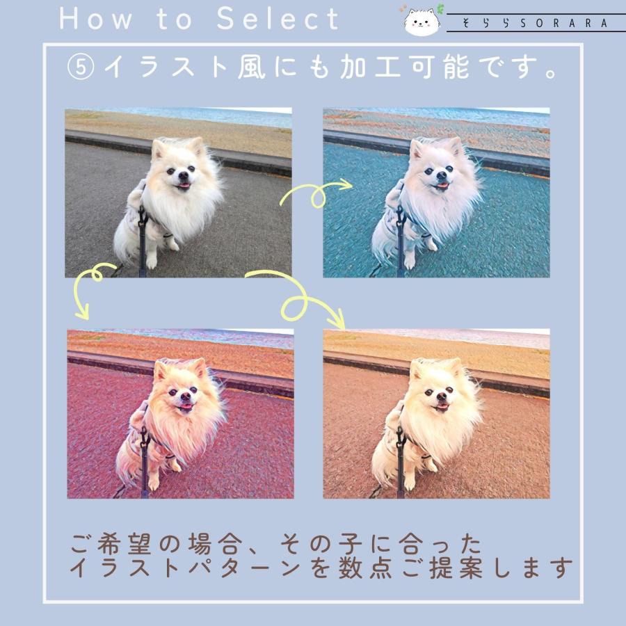 セミオーダープチ缶 My Cute Family お得2個セット うちの子おやつ缶 写真入り オリジナルうちの子グッズ プレゼントに : ペット雑貨専門店そららSORARA - 通販 ...