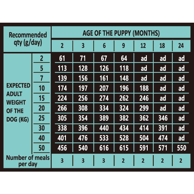 AMBROSIA アンブロシアHMN サーディン＆ヘリング オリーブオイル入り 5kg : ぺとやすYahoo!店 - 通販 - Yahoo!ショッピング