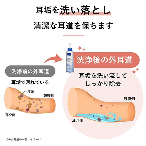 お届け先関東限定/3本セット「ベッツケア イヤークリーナー 125ml」同梱不可/三ビグ【0857】 :0857:ペットフード&サプリのラブリー - 通販 - Yahoo!ショッピング
