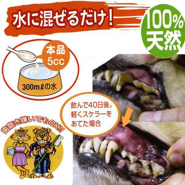 ケーピーエス KPS ハノケア マウスクリーナー オリジナル 473ml : ペテック - 通販 - Yahoo!ショッピング