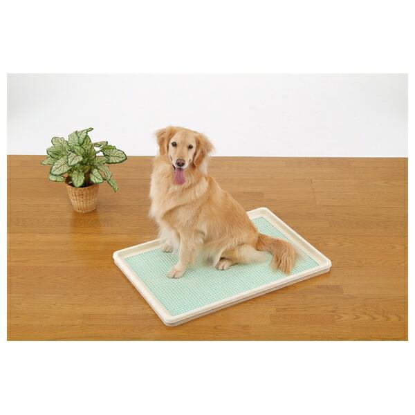 ボンビアルコン(Bonbi) しつけるトレー XL メッシュタイプ トイレトレー 犬用トイレ 中型〜大型犬用 :pf-4977082274031:ペットフォレストヤフー店 - 通販 ...