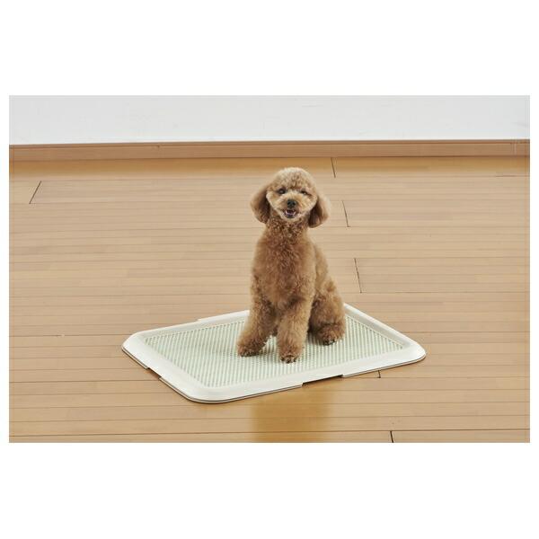 ボンビアルコン(Bonbi) 薄型しつけるトレーM アイボリー 犬用 トイレ ペット : ペットフォレストヤフー店 - 通販 - Yahoo!ショッピング