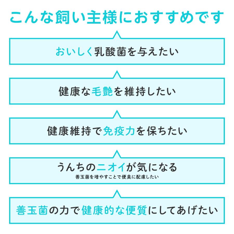 ベッツワン マルチ乳酸菌 犬猫用 細粒 60g(2g×30包)【2個セット】 : ペットゴー 3号館 ヤフー店 - 通販 - Yahoo!ショッピング