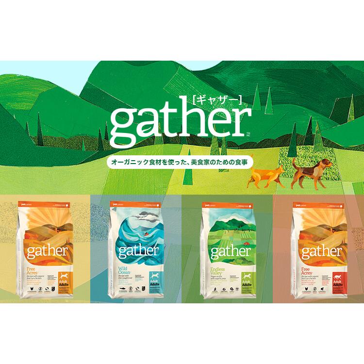 GATHER（Petcurean） GATHER エンドレスバレー 2.72kg : ペットハウスKukuna - 通販 - Yahoo!ショッピング
