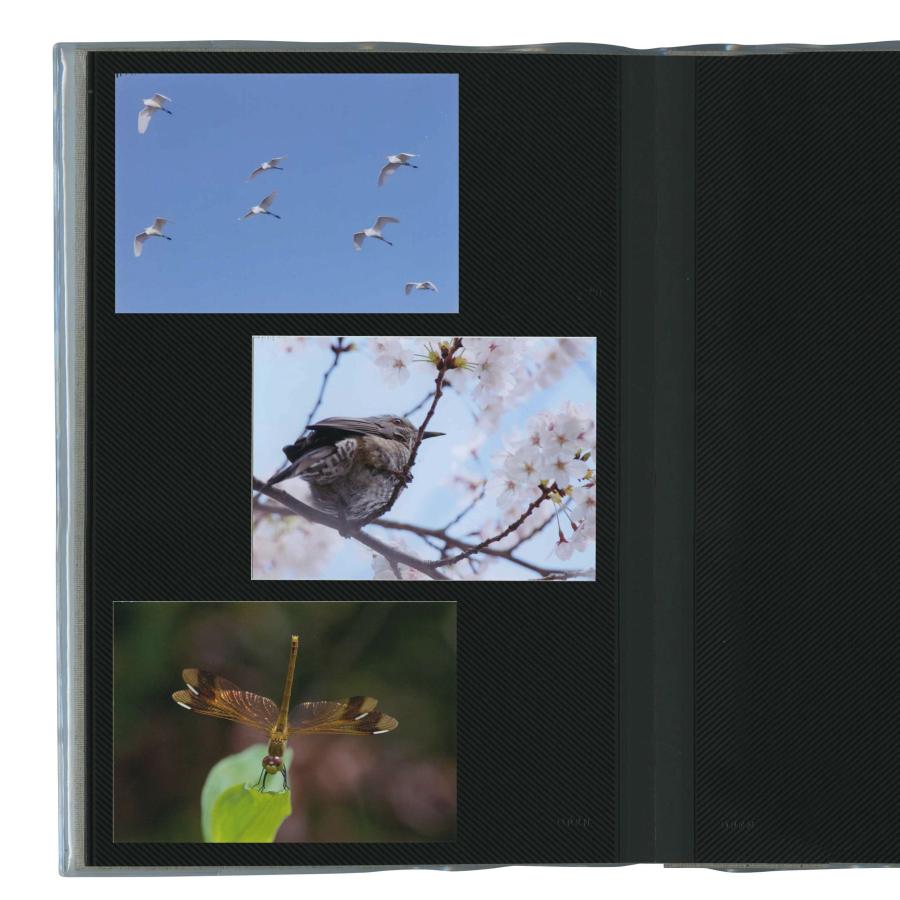 デルフォニックス PDフォトアルバムベーシックA4 シャンブレーブルー : ERENA - 通販 - Yahoo!ショッピング